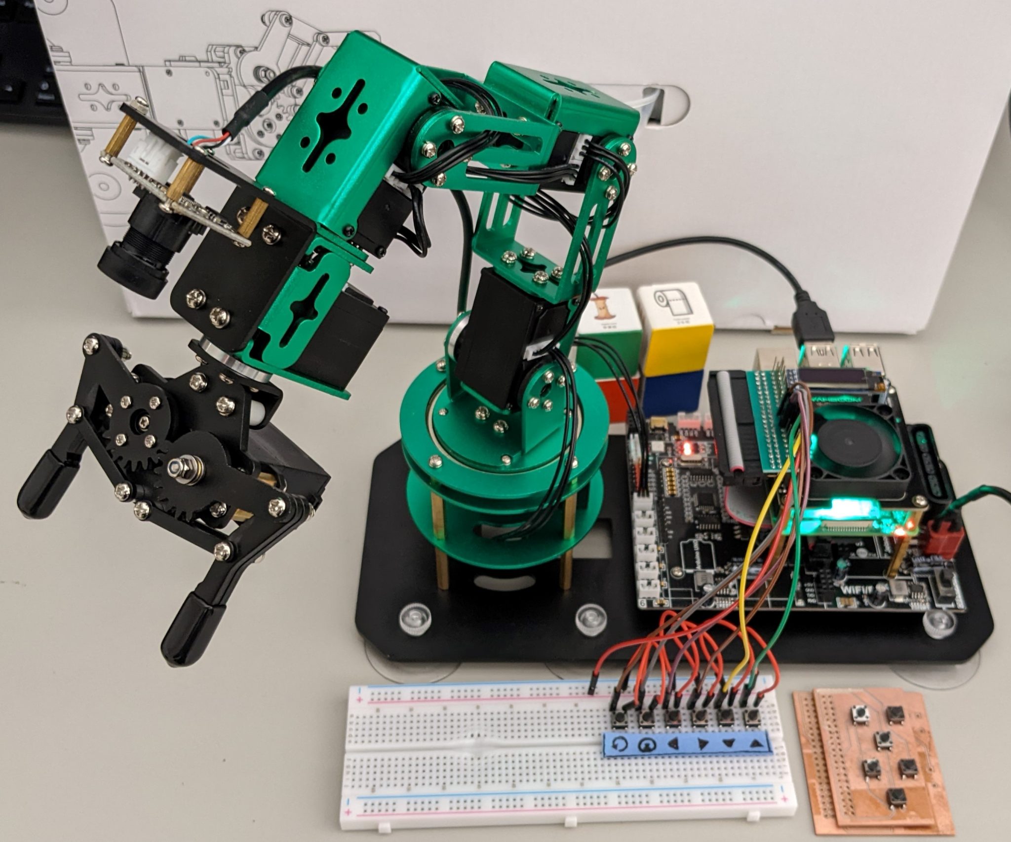 EEG BCI – AI Vision, Health, Biometrics, and Applied Computing