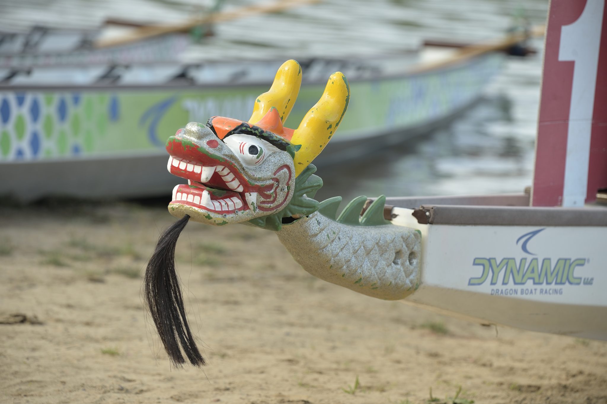 About – Raquette River Dragon Boat Festival 2024