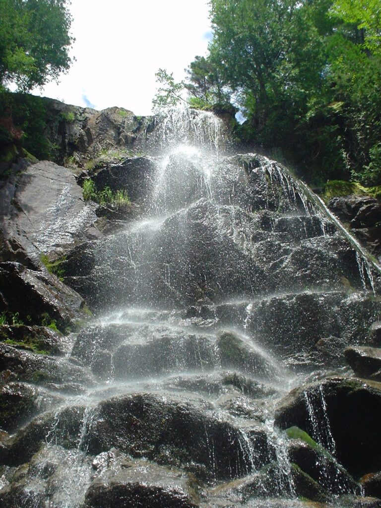 Bringing Nature Indoors – Nature Rx